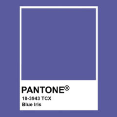Pantone — история института цвета и все цвета года с 2000 по 2021 | МЦ